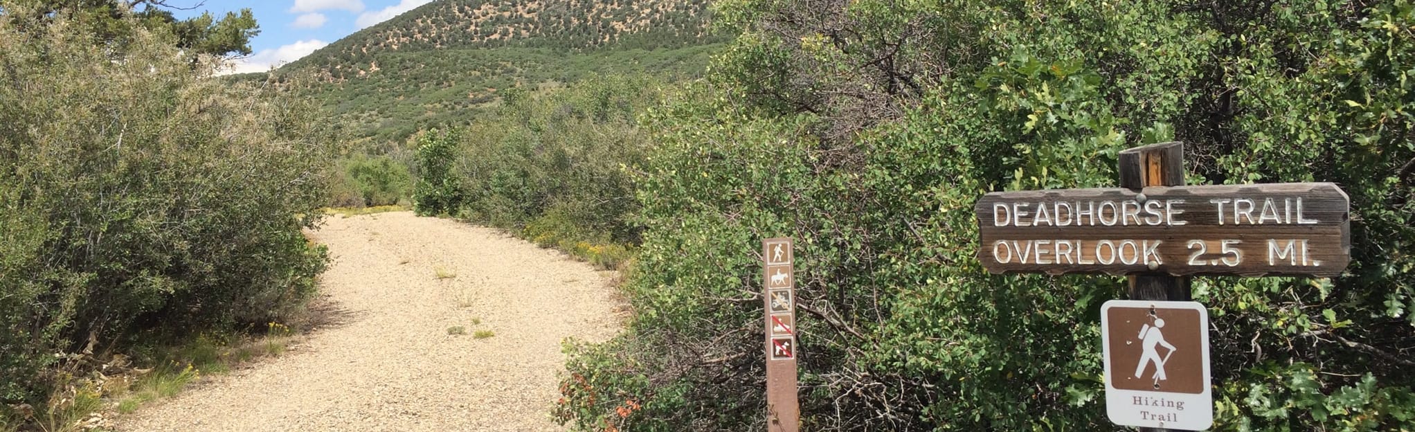 Deadhorse Loop Trail: 41 Reviews, Map - Colorado | AllTrails