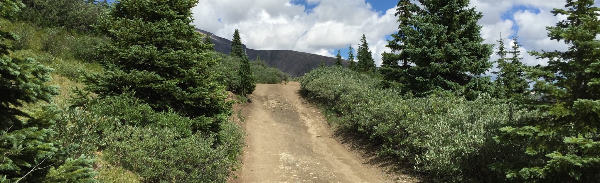 North Star Mountain Summit , Colorado - 221 Reviews, Map | AllTrails