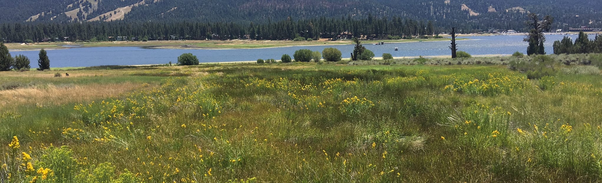 Alpine Pedal Path Trail: 713 Reviews, Map - California | AllTrails