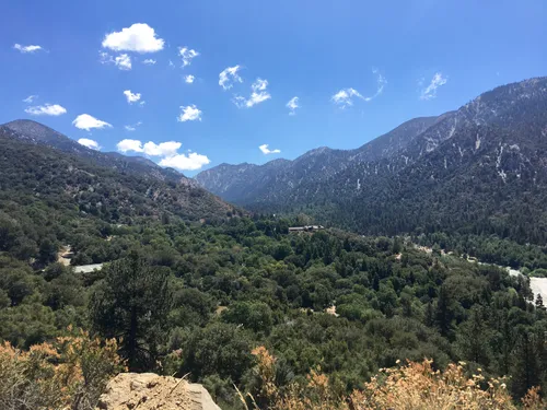 Best Waterfall Trails in Forest Falls | AllTrails