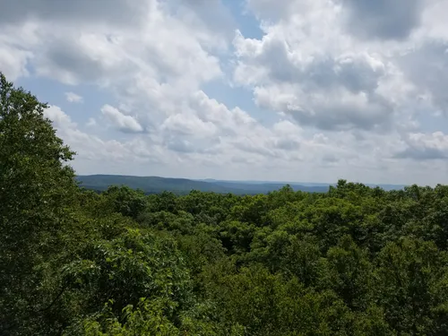 Best Forest Trails in New Marlborough | AllTrails