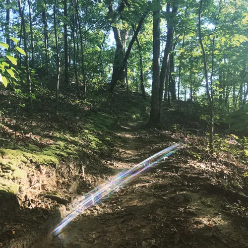 10 Best Hikes and Trails in Kanawha State Forest | AllTrails