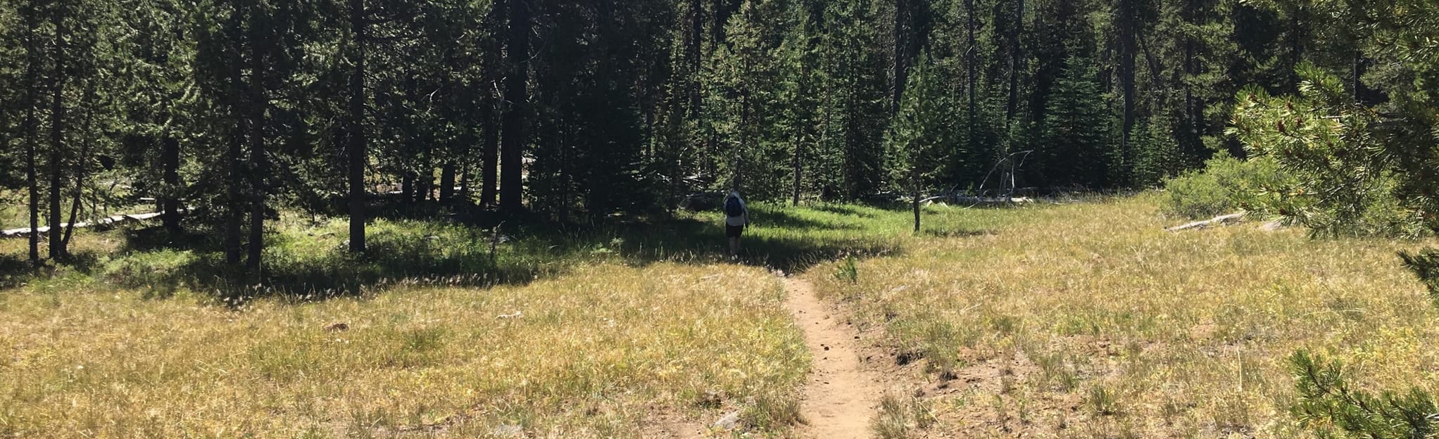 Varney Creek Trail to Lake Como - Oregon | AllTrails
