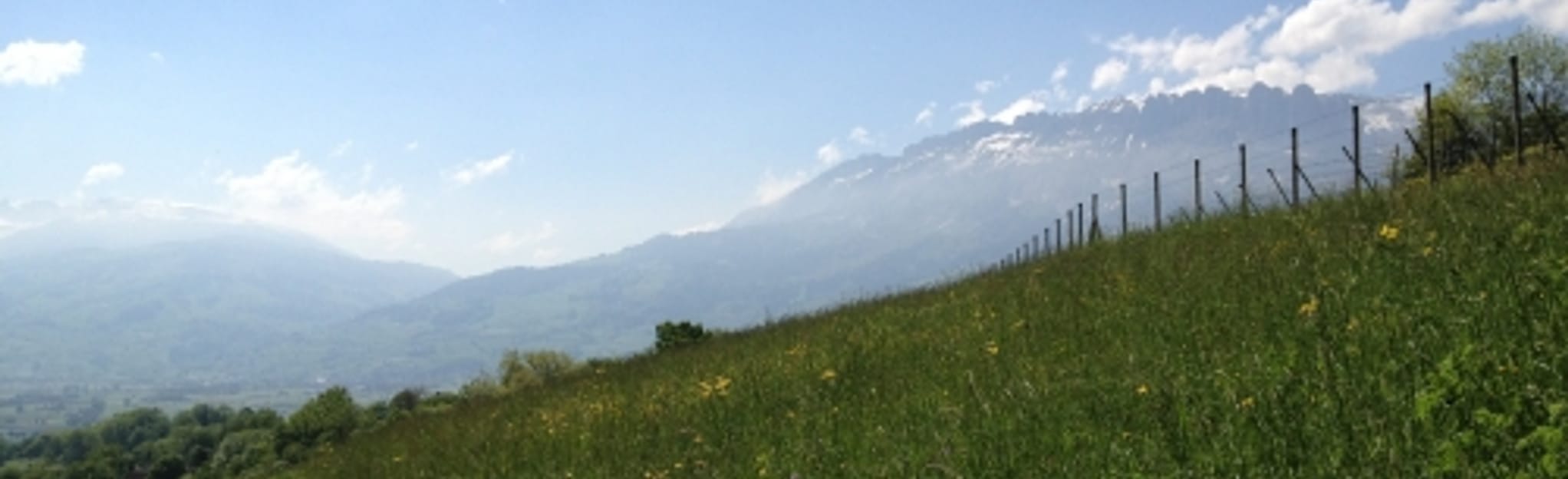 Bendern - St. Corneli (A), Gamprin, Liechtenstein - Map, Guide | AllTrails