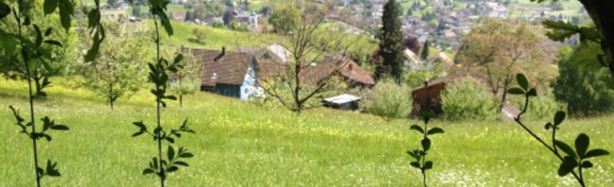 Mauren Bergerwald, Mauren, Liechtenstein - Map, Guide | AllTrails