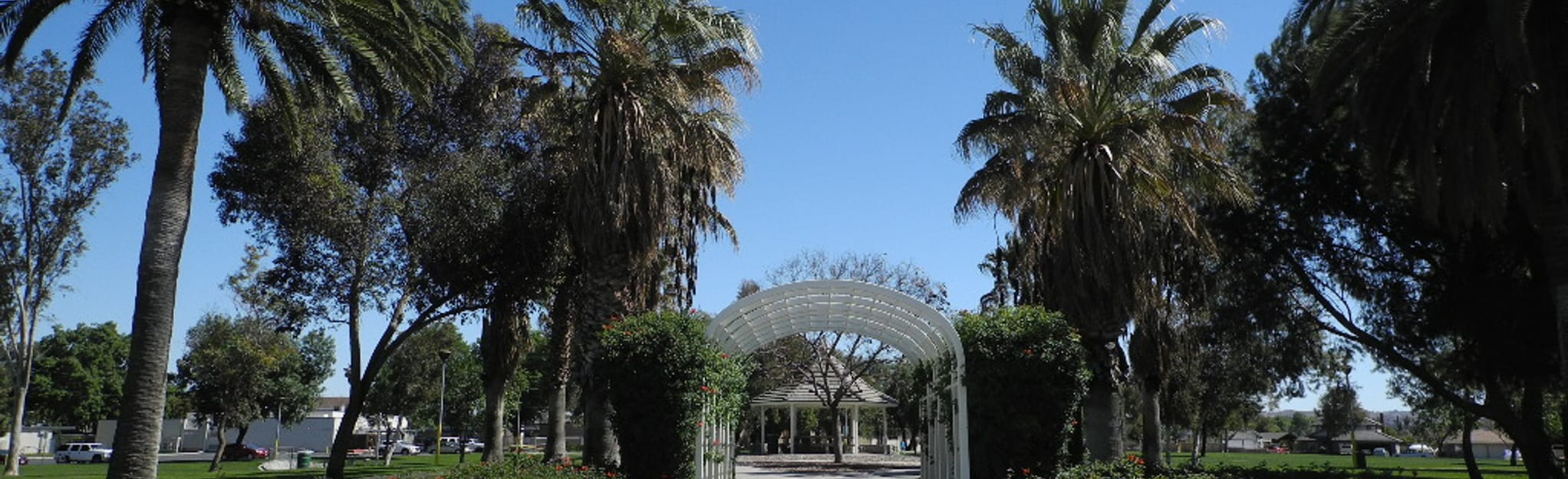 Collett Park, California - 29 Reviews, Map | AllTrails