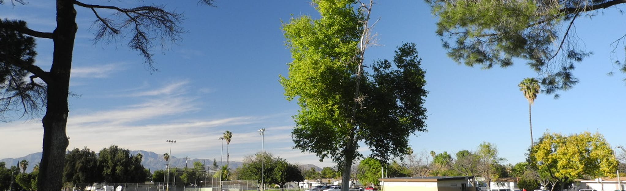 Hunt Park Loop, 4 Fotos - California | AllTrails