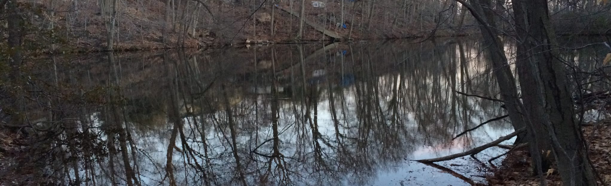 Motts Hill Trails, New York - 134 Reviews, Map | AllTrails