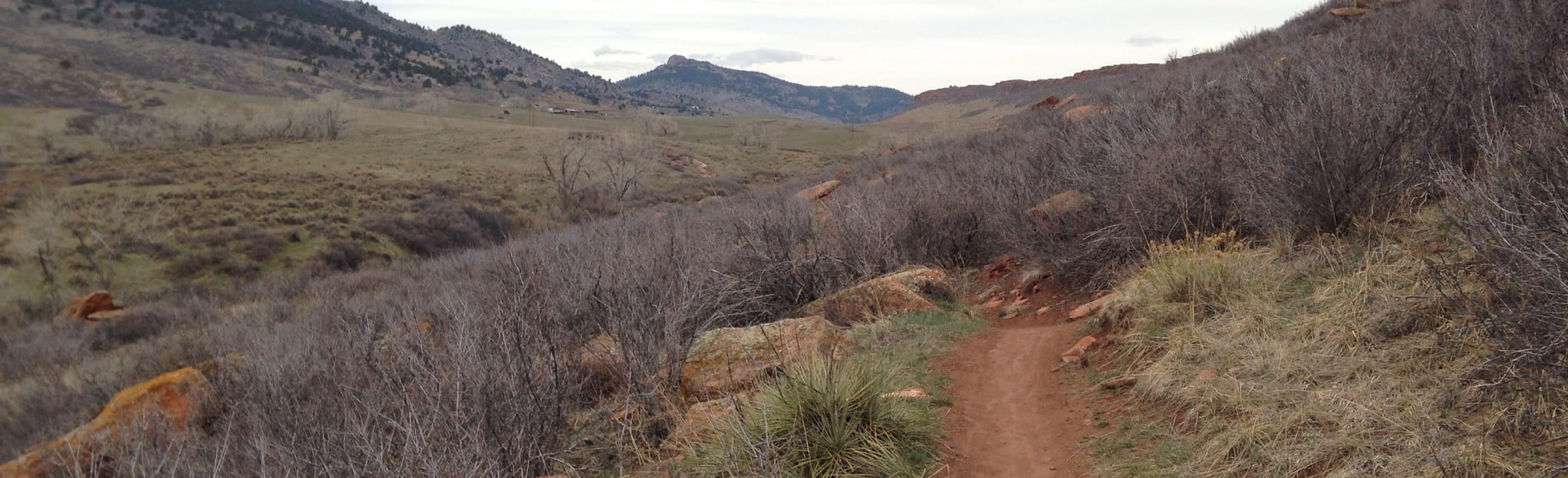Blue Sky and Indian Summer Trail: 155 Reviews, Map - Colorado | AllTrails