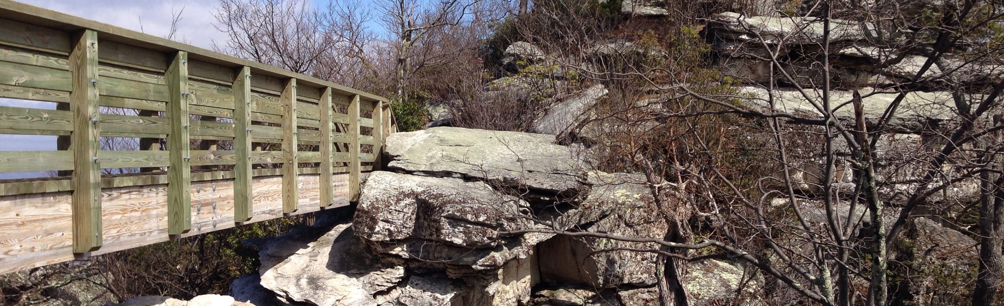 Perry Valley Loop Trail: 96 Reviews, Map - West Virginia | AllTrails