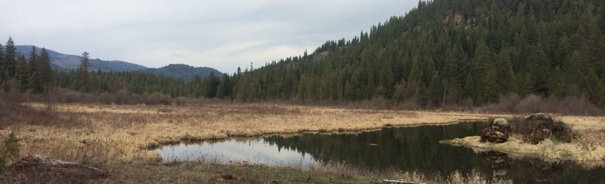 Rustlers Gulch Wildlife Area via Beaver Creek Access, Washington - 100 ...
