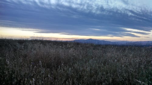 Best Hikes and Trails in Rush Ranch Open Space | AllTrails