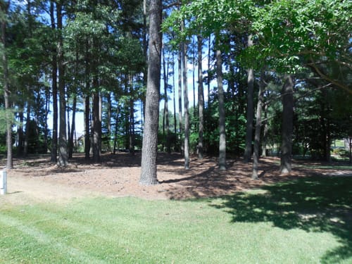 Best Hikes and Trails in Fort Boykin Historical Park | AllTrails