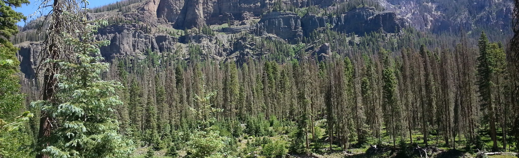 Four Mile Creek and Anderson Trail Loop, Colorado - 93 Reviews, Map ...