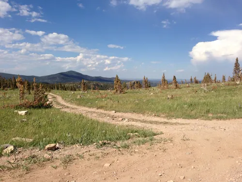 Best Off Road Driving Trails in Red Feather Lakes | AllTrails