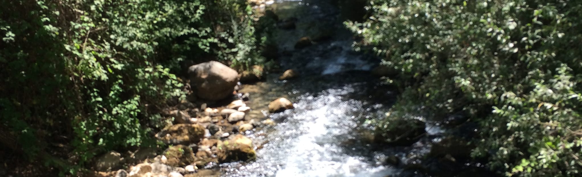 Palace of Agrippa II and Officers Pool Loop: 2 Reviews, Map - Golan ...