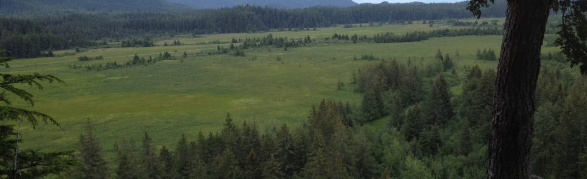 Haystack Trail: 15 Reviews, Map - Alaska | AllTrails