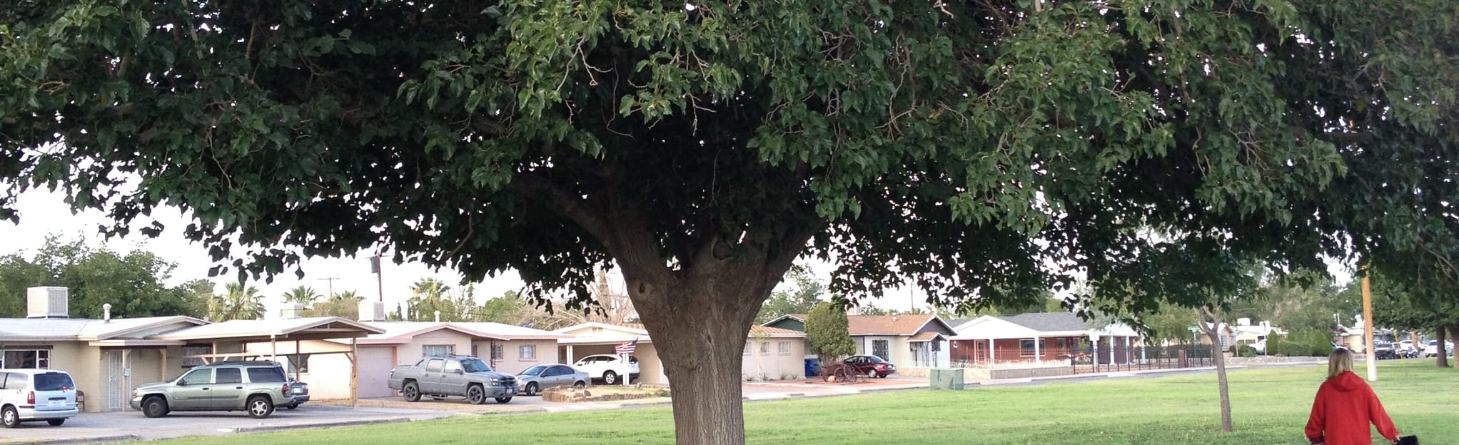 Edgemere Walk and Jog Trail: 101 Reviews, Map - Texas | AllTrails