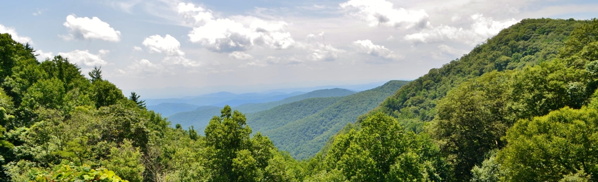 Fodder Stack via Bluff Mountain Trail, North Carolina - 69 Reviews, Map ...