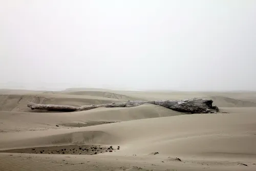 Best Hikes and Trails in Seven Devils State Recreation Site | AllTrails