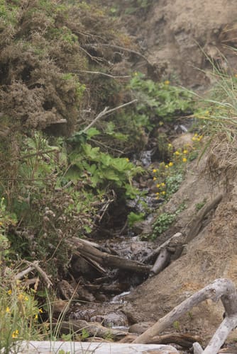 Best Hikes and Trails in Seven Devils State Recreation Site | AllTrails