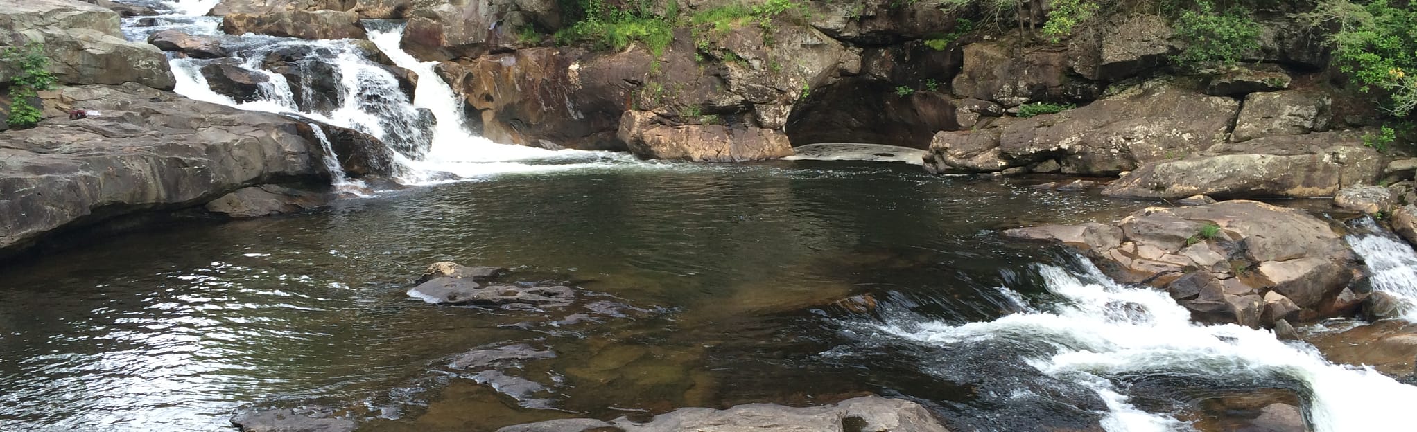 Jacks River Trail to Beech Bottom, Georgia - 188 Reviews, Map | AllTrails