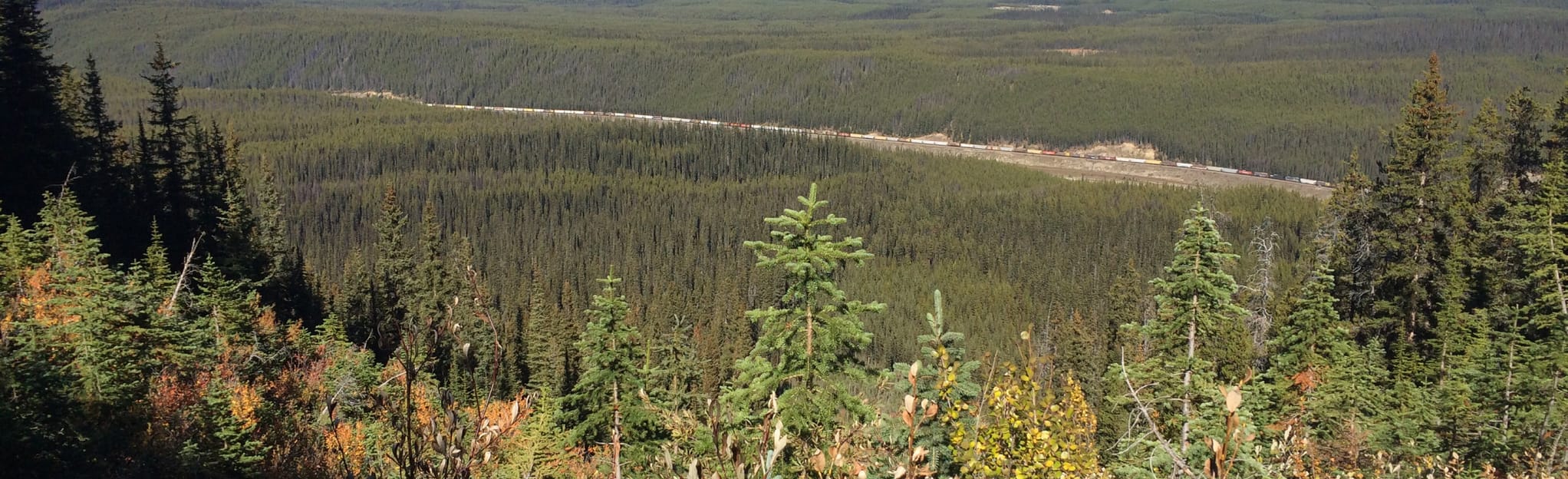 Lake Ross Trail - Alberta, Canada | AllTrails