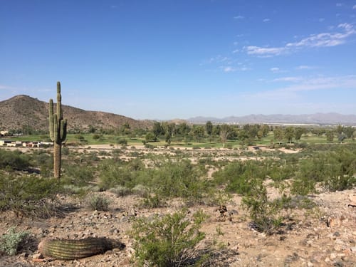 2023 Best 10 Long Trails in Estrella Mountain Regional Park | AllTrails