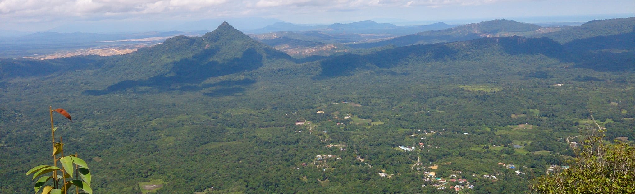 Gunung Singai, Sarawak, Malaysia - 27 Reviews, Map | AllTrails