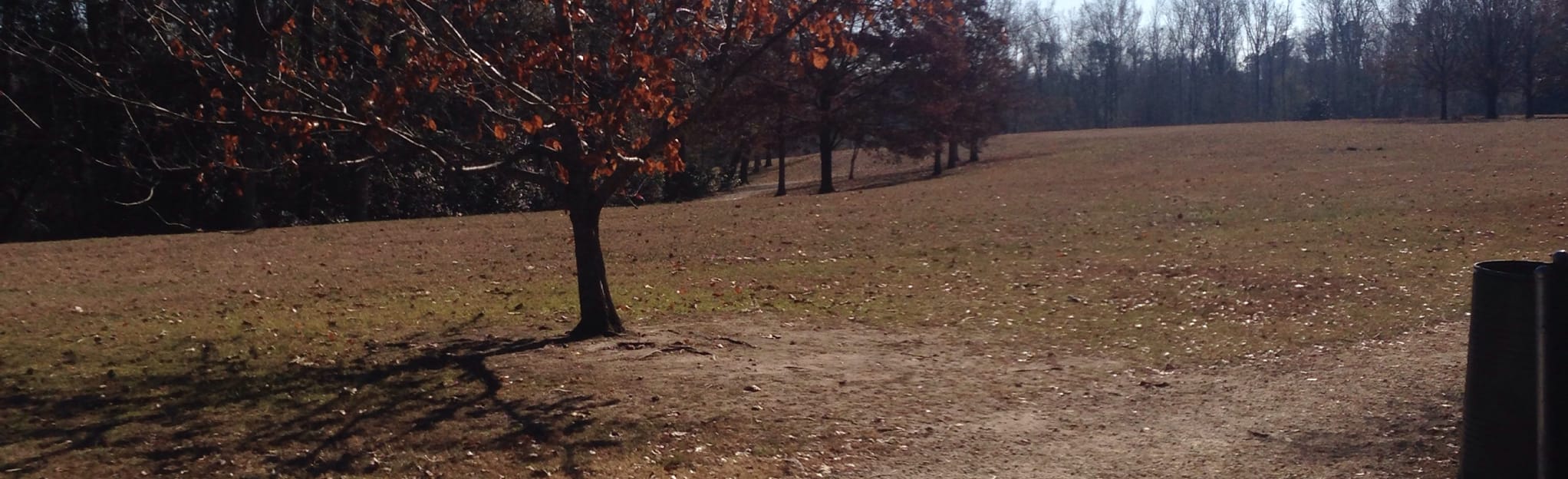 Kiesel Park Inner Loop | Map, Guide - Alabama | AllTrails