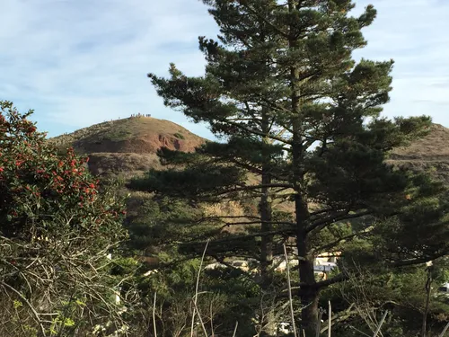 Best Hikes and Trails in Mount Sutro Open Space Reserve | AllTrails