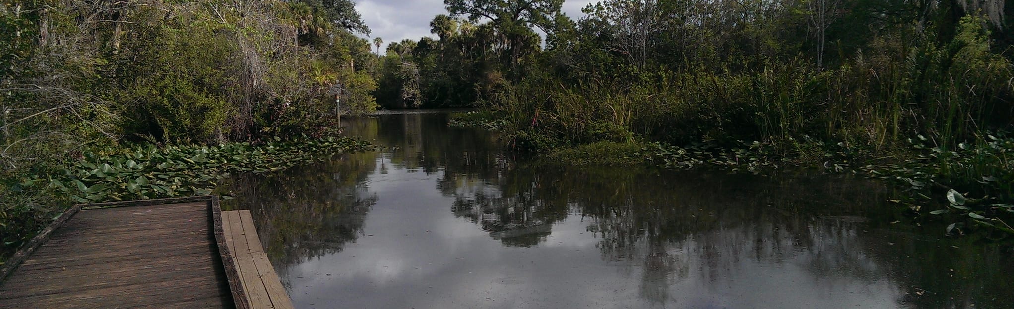 Oxbow Gopher Tortoise, Racoon, and Limpkin Loop | Map, Guide - Florida ...