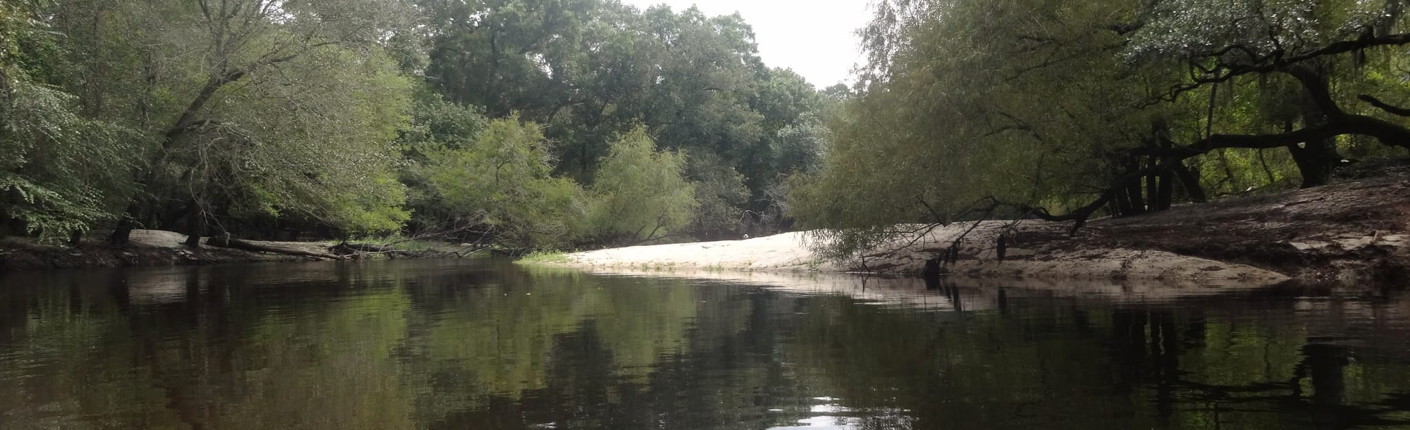Ohoopee River: Griffin Ferry Road to Altamaha River, Georgia - 4 ...
