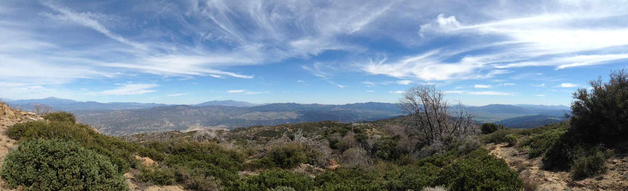 Palomar Divide Road, California - 277 Reviews, Map | AllTrails
