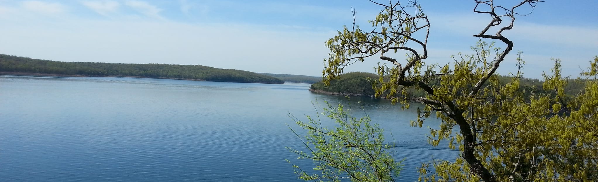 Robinson Point Trail, Arkansas - 258 Reviews, Map | AllTrails