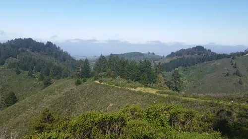 10 Best Hikes and Trails in Purisima Creek Redwoods Open Space Preserve ...