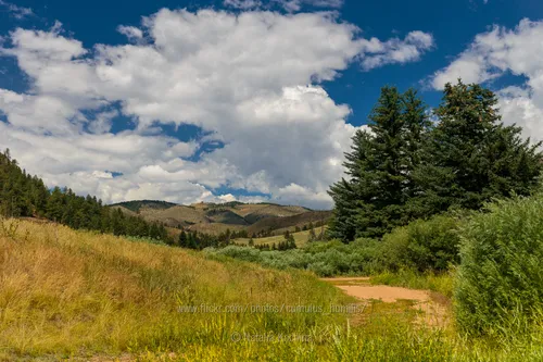 Best Hikes and Trails in Pine Valley Ranch Park | AllTrails