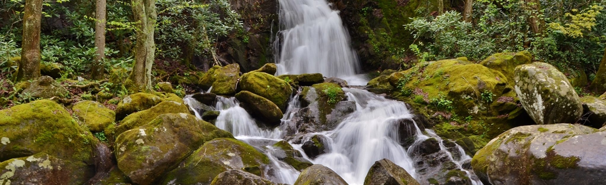 Mouse Creek Falls via Big Creek Trail, Tennessee - 2,538 Reviews, Map ...