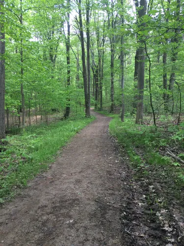 10 Best Hikes and Trails in South Chagrin Reservation | AllTrails