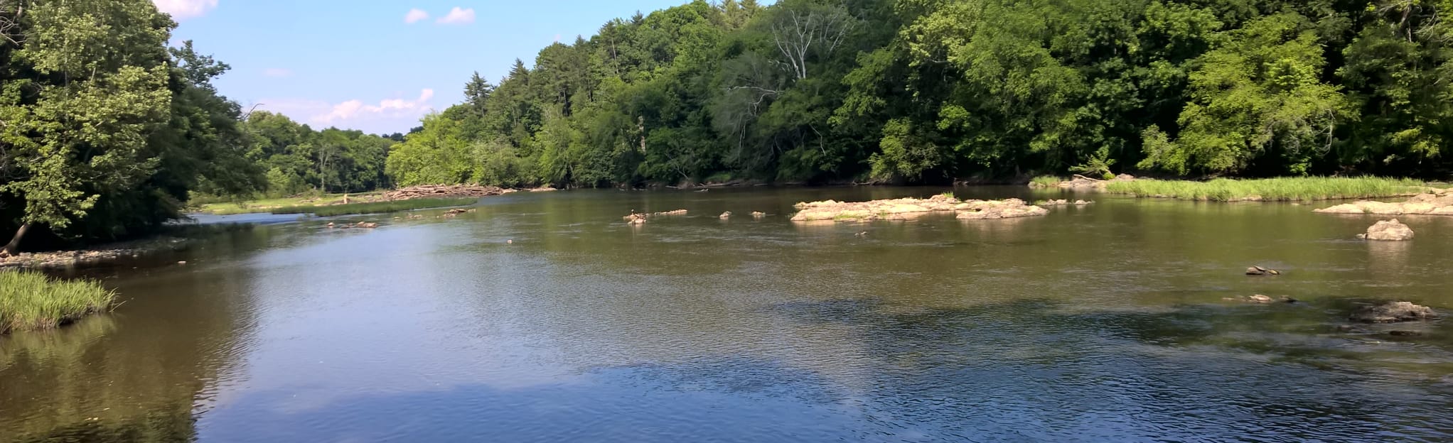 Gilbert Yager, White Pines and Rocky River Trail Loop: 432 Reviews, Map ...