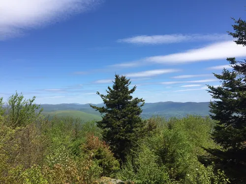 Best Short Trails in Mount Greylock State Reservation | AllTrails