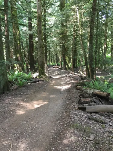 Best Hikes and Trails in Walker Valley ORV Recreational Area | AllTrails