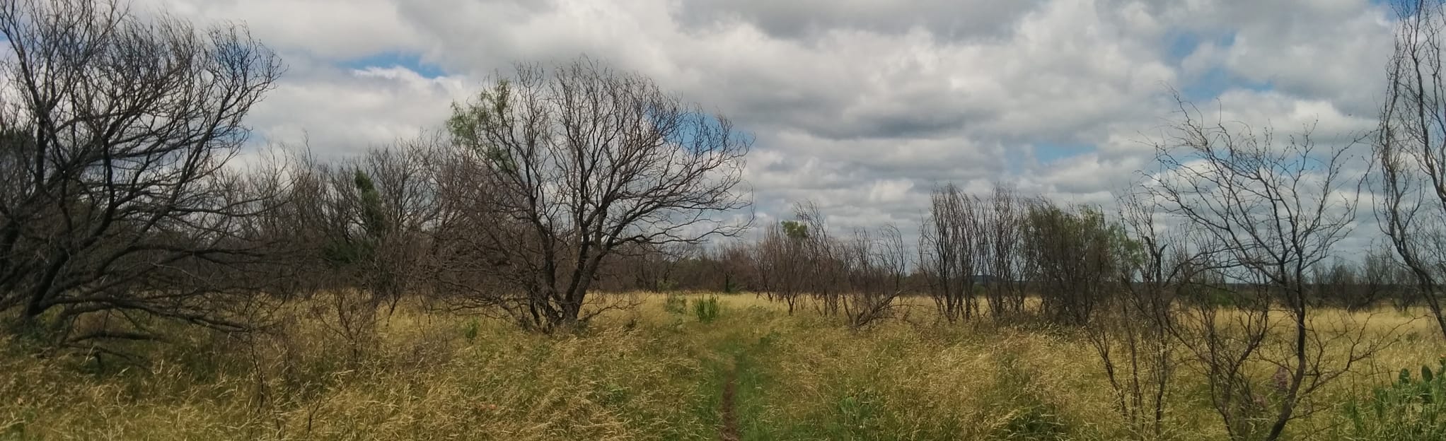 San Angelo State Park Maceys Loop, Texas - 65 Reviews, Map | AllTrails