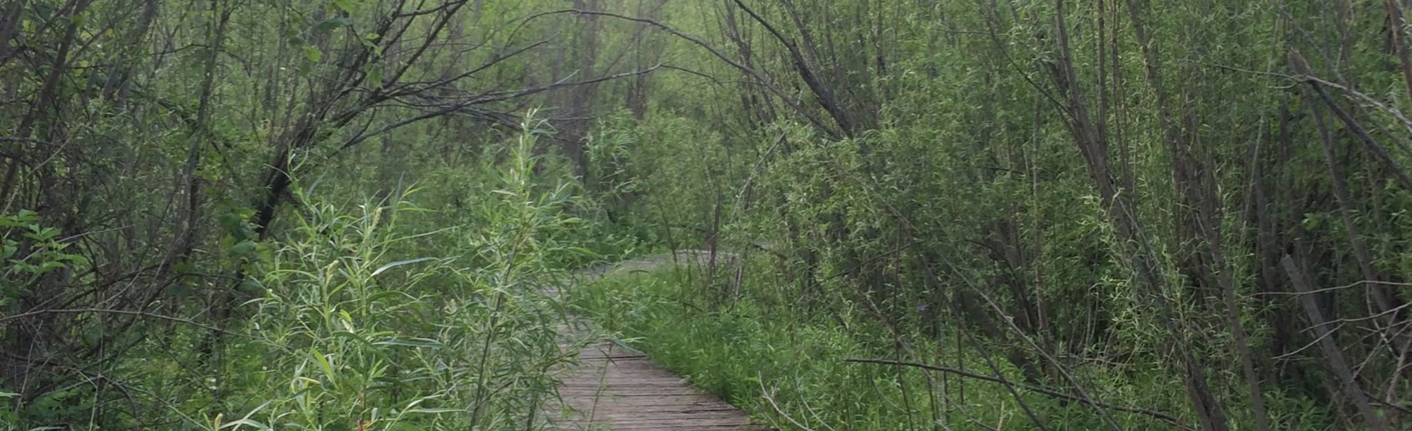 Prophetstown Trail: West Loop: 64 Reviews, Map - Indiana | AllTrails