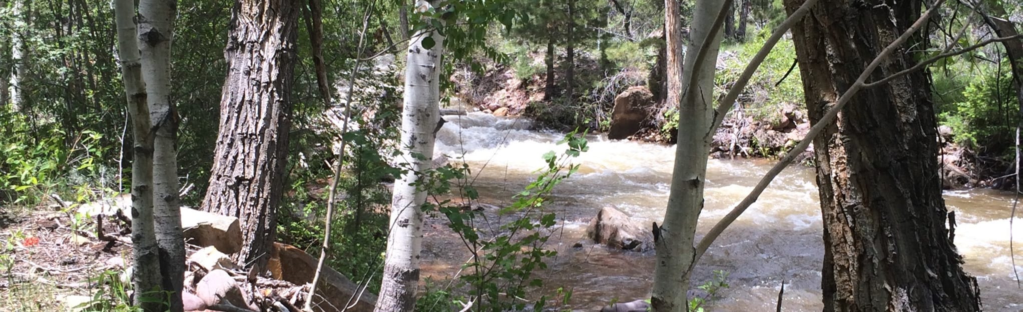 Dry Fork Flume Interpretive Trail | Map, Guide - Utah | AllTrails