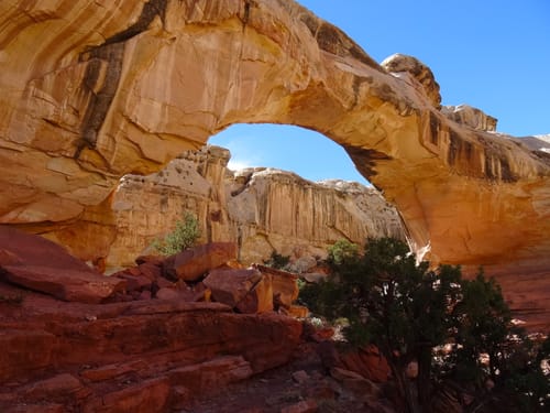 Best 10 Hikes and Trails in Capitol Reef National Park | AllTrails