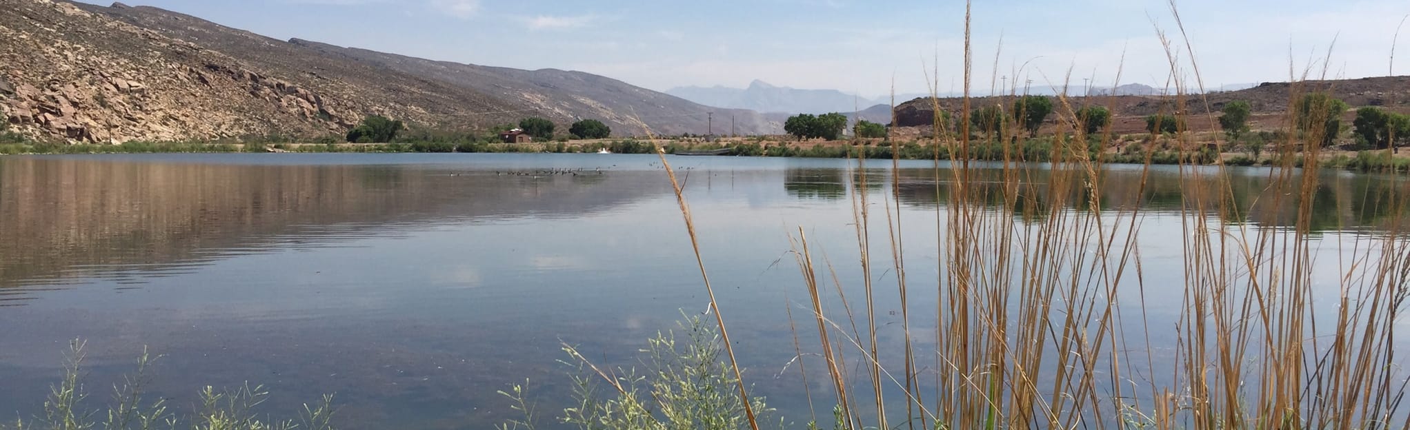 Grandpa's Pond Trails, Utah - 142 Reviews, Map | AllTrails