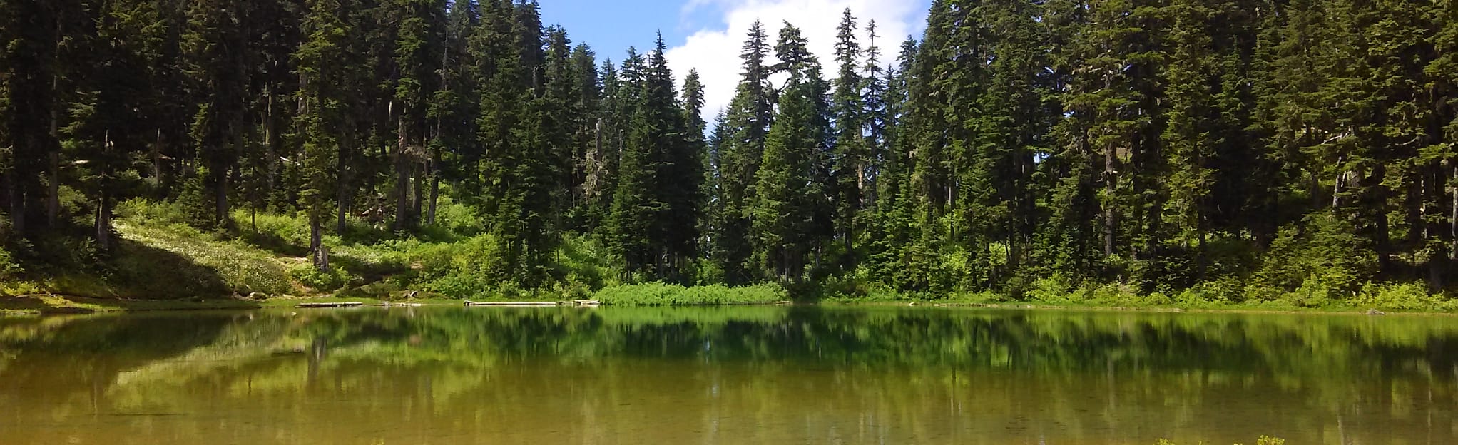 Lake Christine Trail to Mt Beljica [CLOSED], Washington - 79 Reviews ...