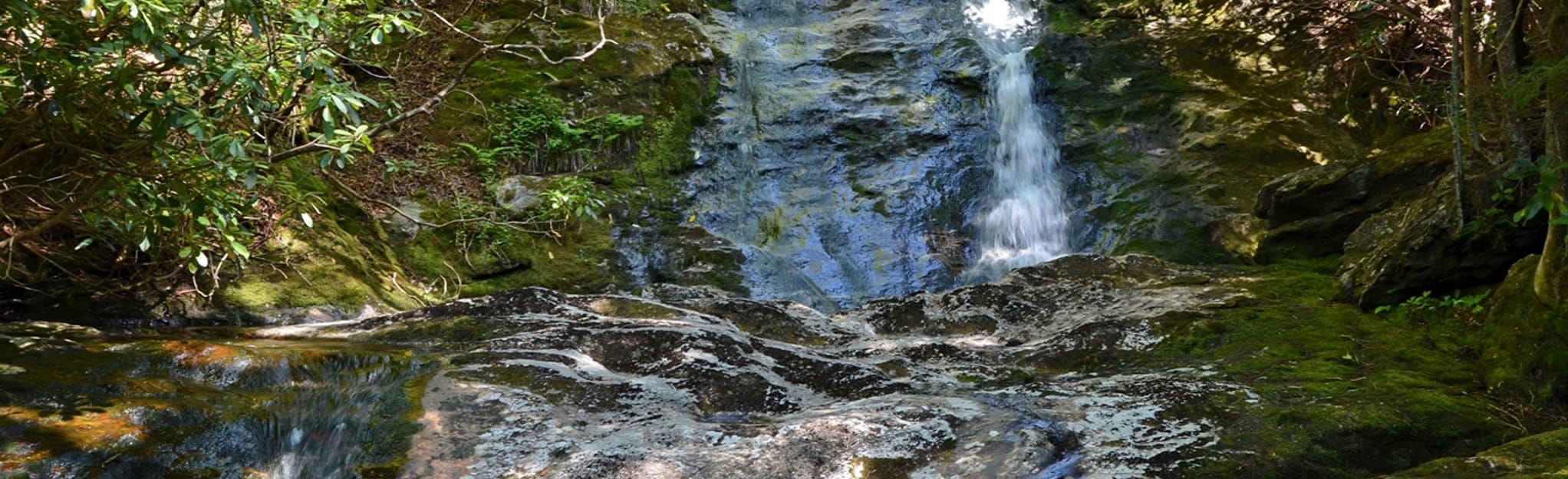 Lower Bubbling Spring and Branch Falls: 34 Reviews, Map - North ...