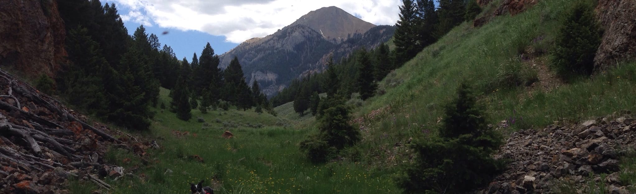 Rocky Canyon Trail, Idaho - 5 Reviews, Map | AllTrails